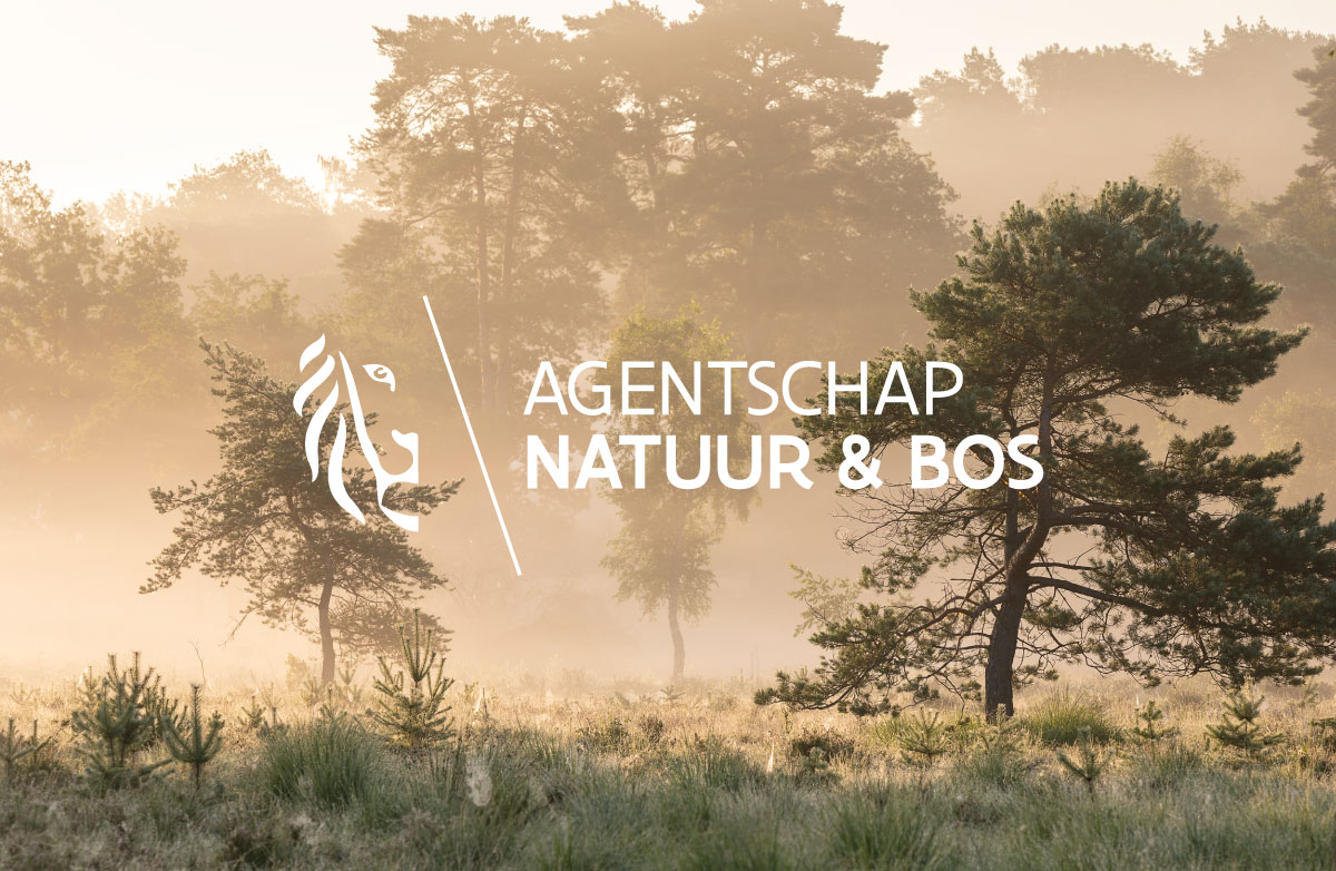 Low-code automation for Agentschap Natuur en Bos » Sirus